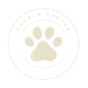 When Do Poodles Get Their Curls? How to Make Your Poodle Curly