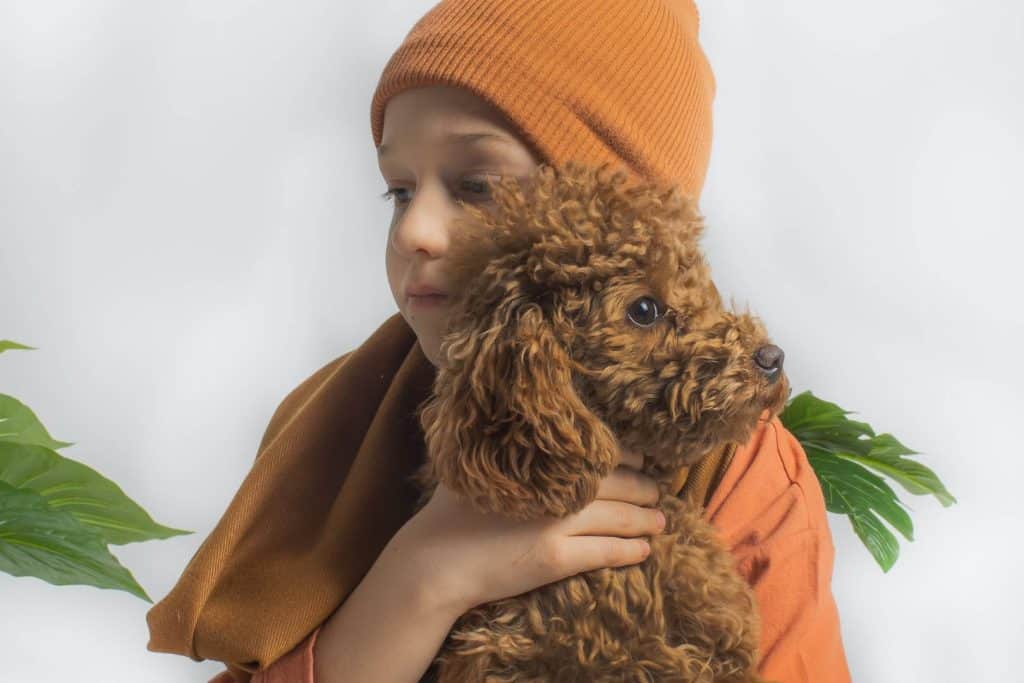 Are Poodles Good With Kids? Why Are They The Best Family Dog